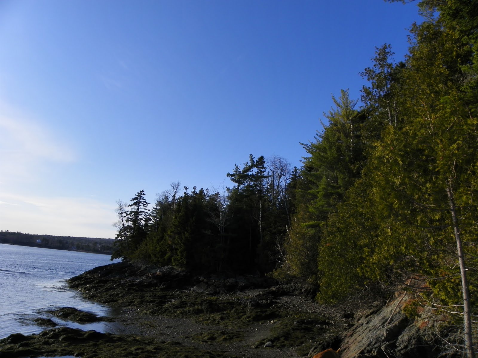 The Adventures of Joshua and Tilley: Spoon Island Evening Hike, Part 4 ...