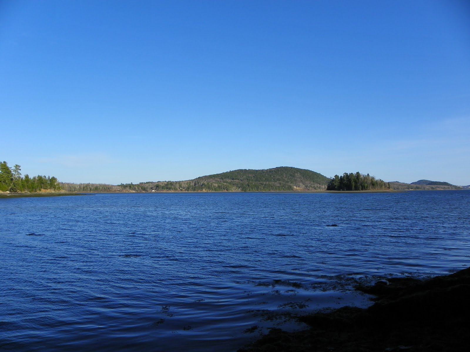 The Adventures of Joshua and Tilley: Spoon Island Evening Hike, Part 4 ...