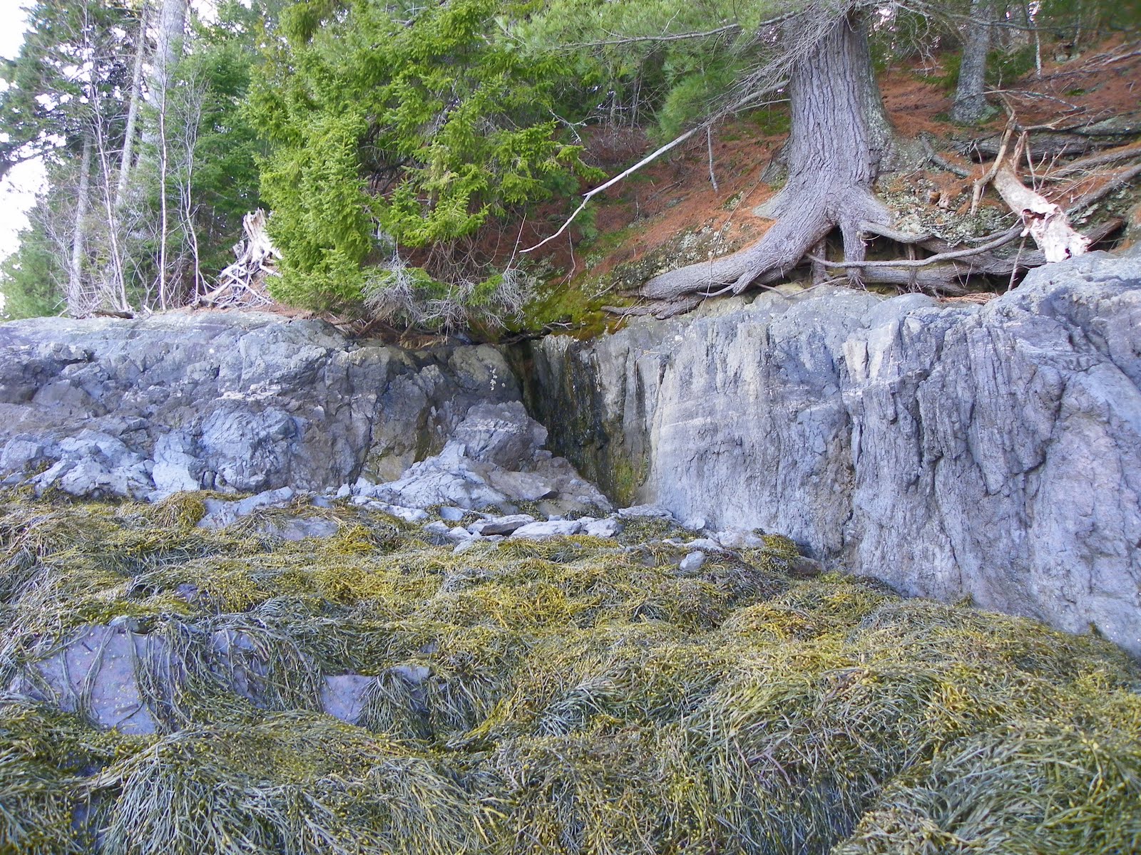 The Adventures of Joshua and Tilley: Spoon Island Evening Hike, Part 4 ...