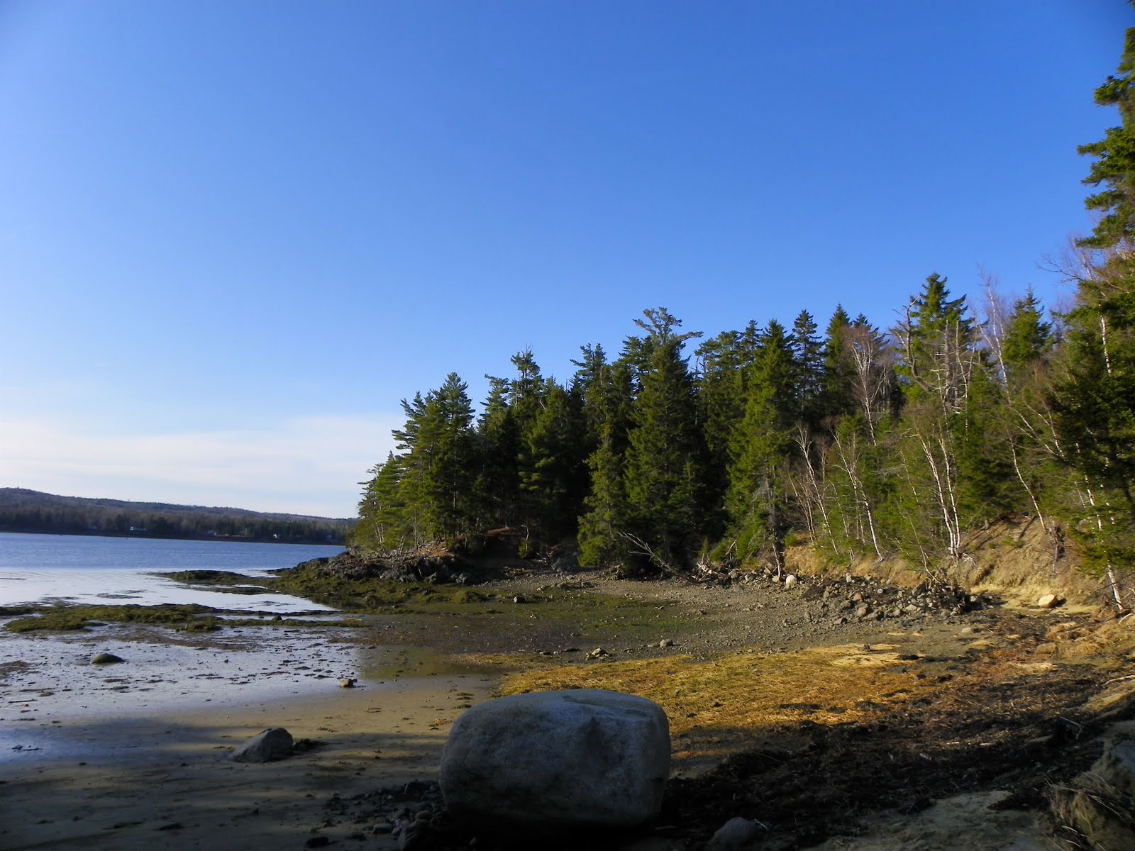 The Adventures of Joshua and Tilley: Spoon Island Evening Hike, Part 4 ...