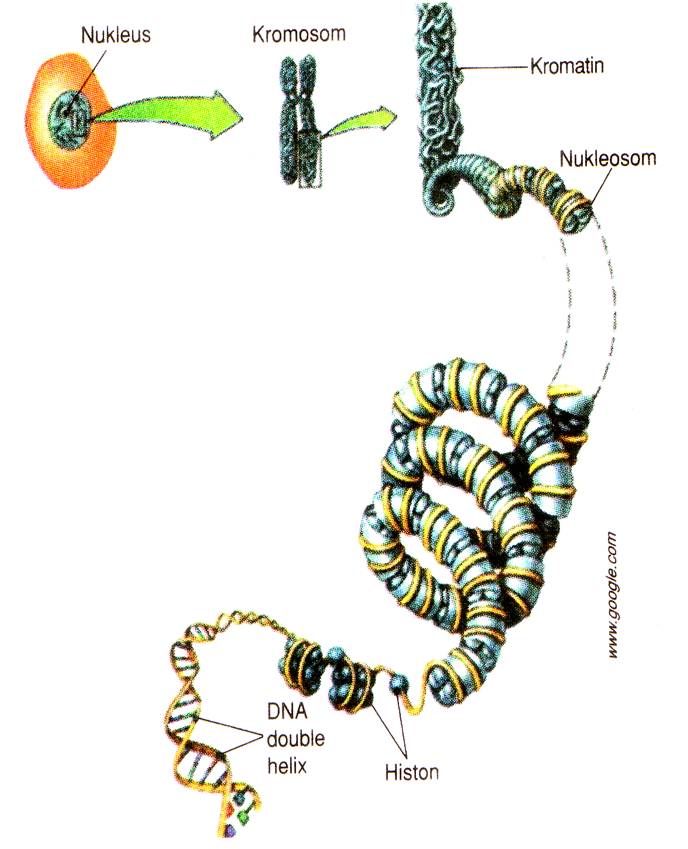 ELDY's blog: September 2010