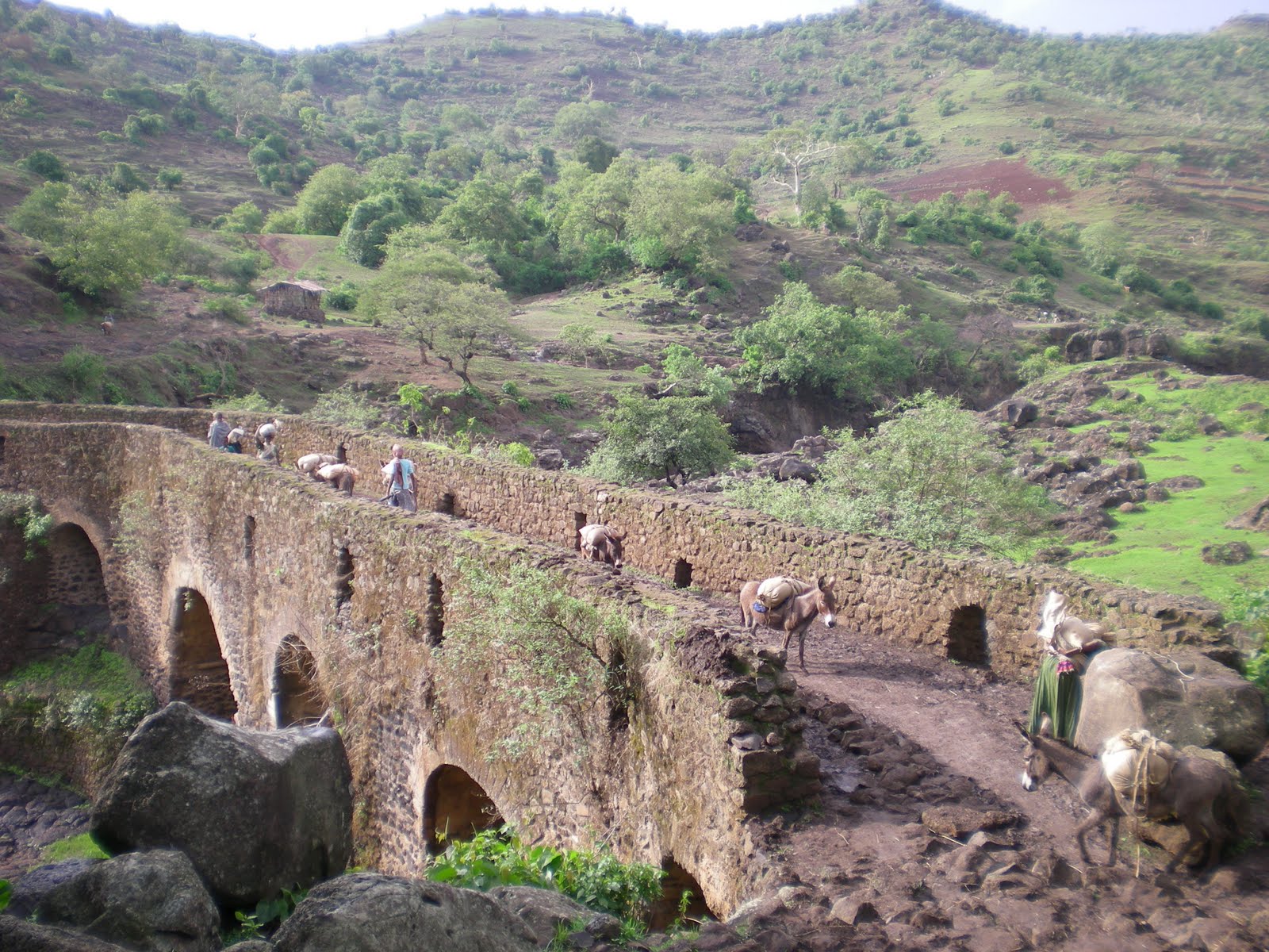 Días de Ensueño en Etiopía.: 15 de Julio de 2009: Abay, el Nilo Azul