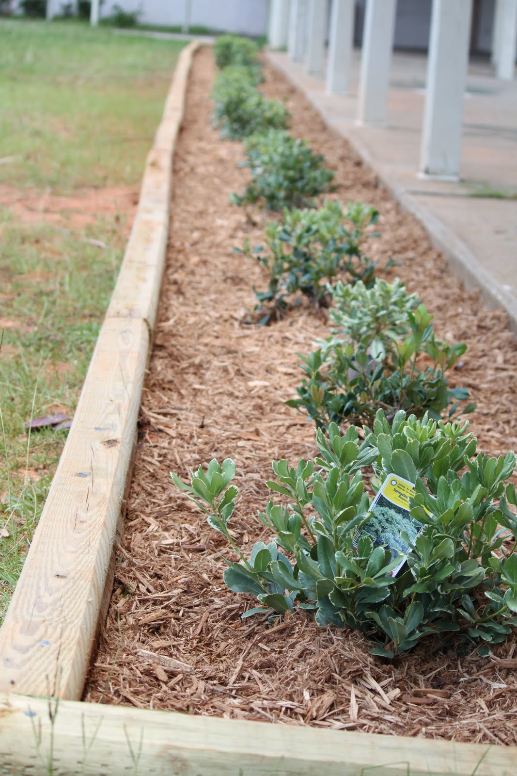 Summer Enrichment Program 2010: Making CASE Connections