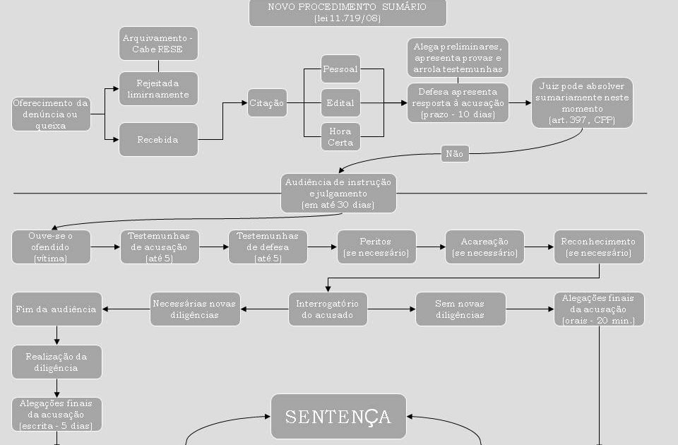 O Processo Penal: O novo procedimento sumário