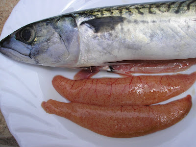 Seite nicht gefunden | telekine – fernsehproduktion