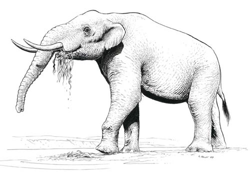 Haplomastodon - Alchetron, The Free Social Encyclopedia