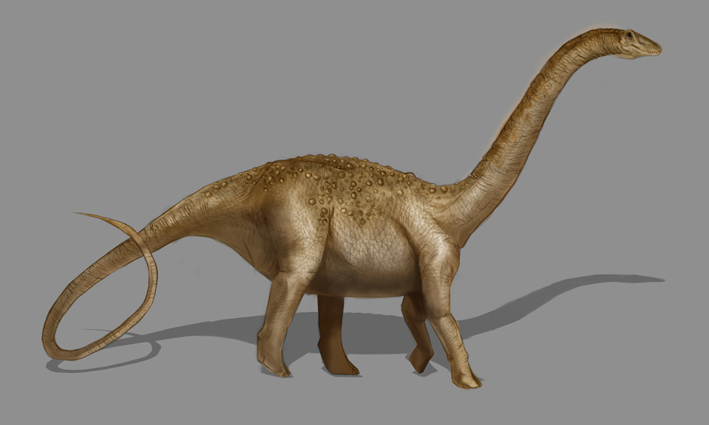 Mariana Illustrations: Brazilian Dinosaurs