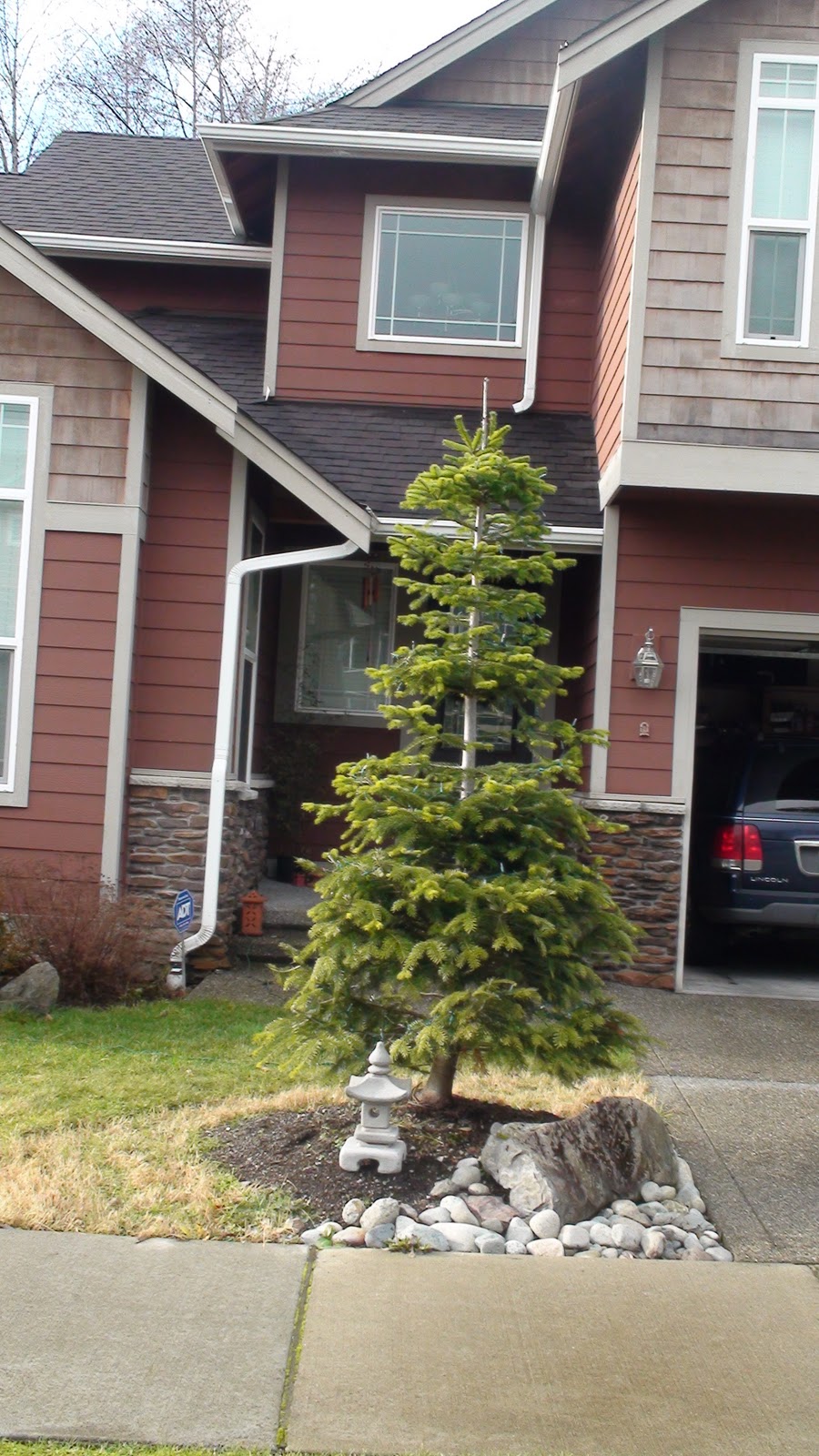 IE Spacedesign: Adding Trees: