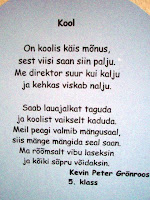 tiinaklassiajaveeb: LUULETUSED