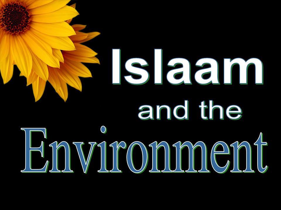 ISLAM itu MUDAH: Environmental Protection in Islam