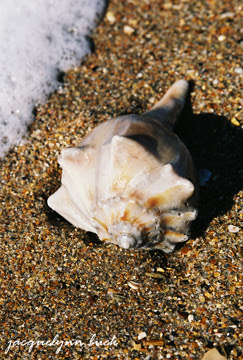 the footprint you leave behind