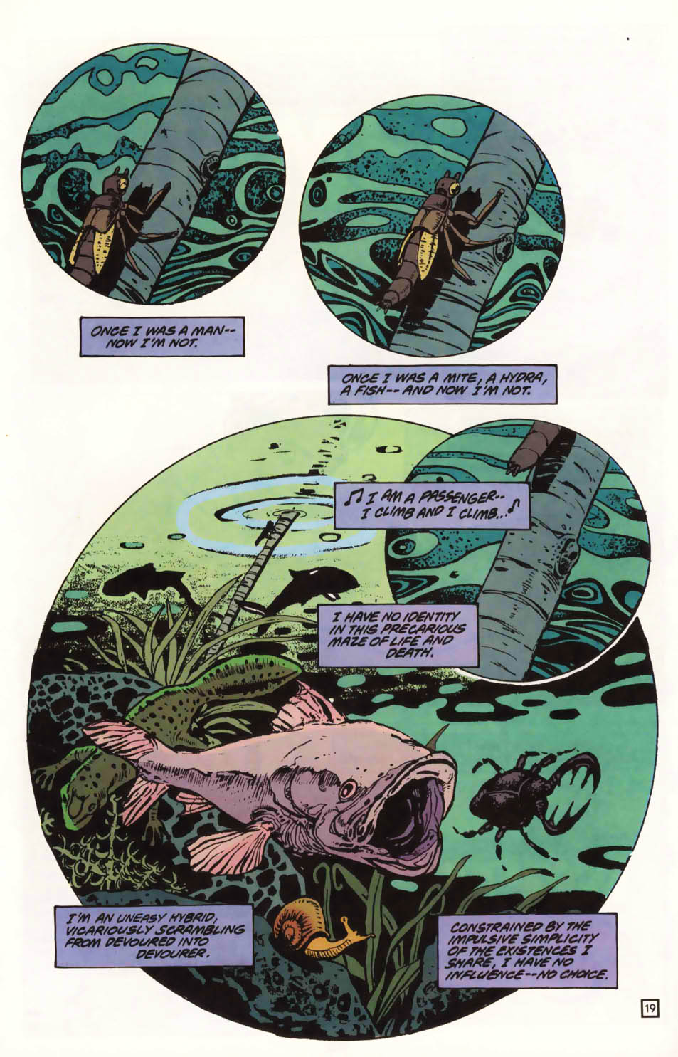 Pai: Animal Man artwork...