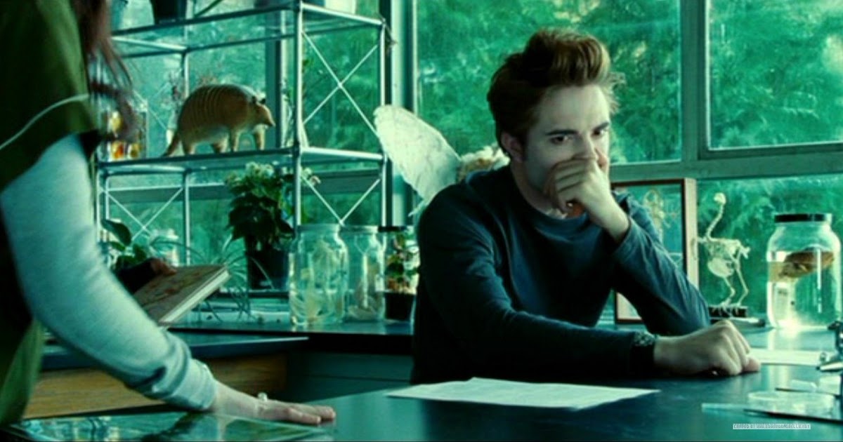 " La Saga ": LOS COMENTARIOS DE ROB: GENIALES!!!