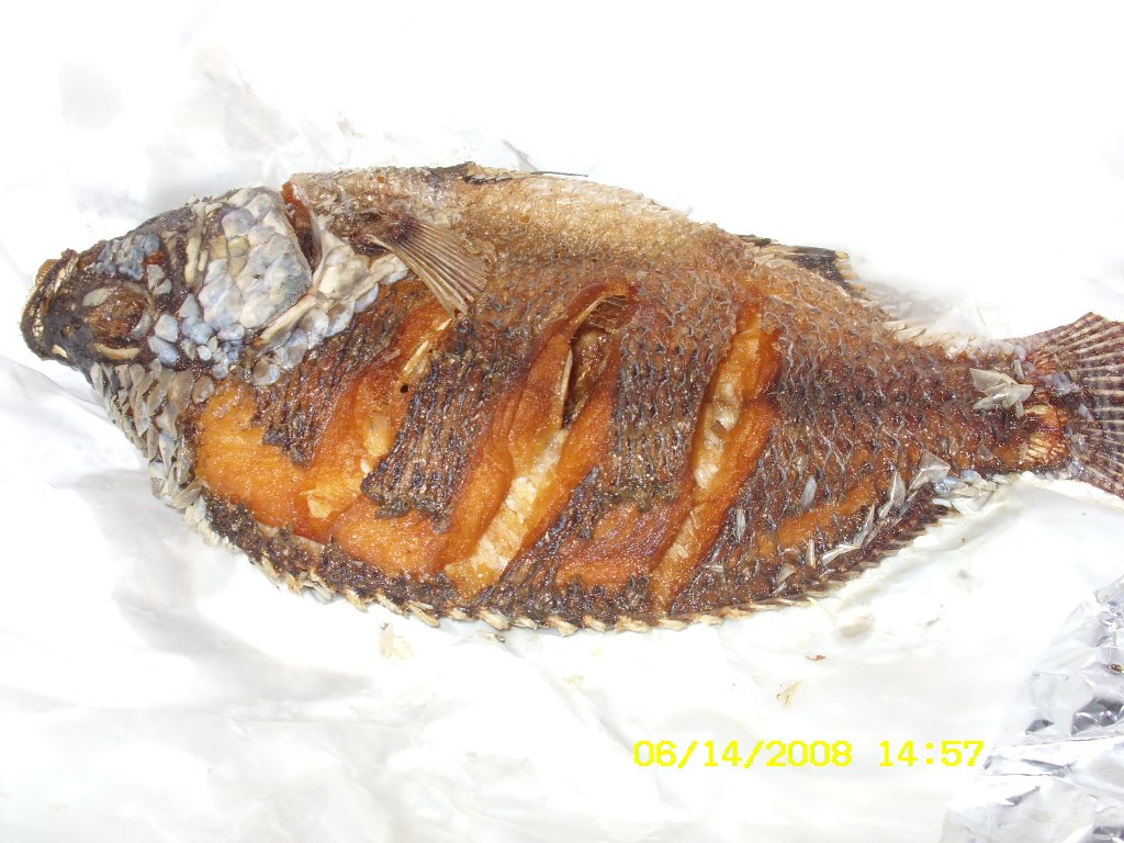 Theeuroblog.com – Health, Food and Travel » Blog Archive » Fish as Food