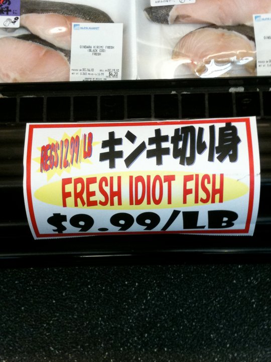 live and active cultures: idiot fish