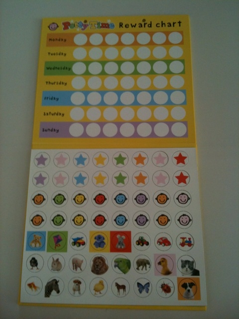 Everyday a Mum: Potty Training Battle Gear