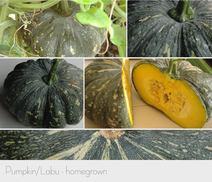 LittleSyam: Pengat Labu & Labu Masak Lemak