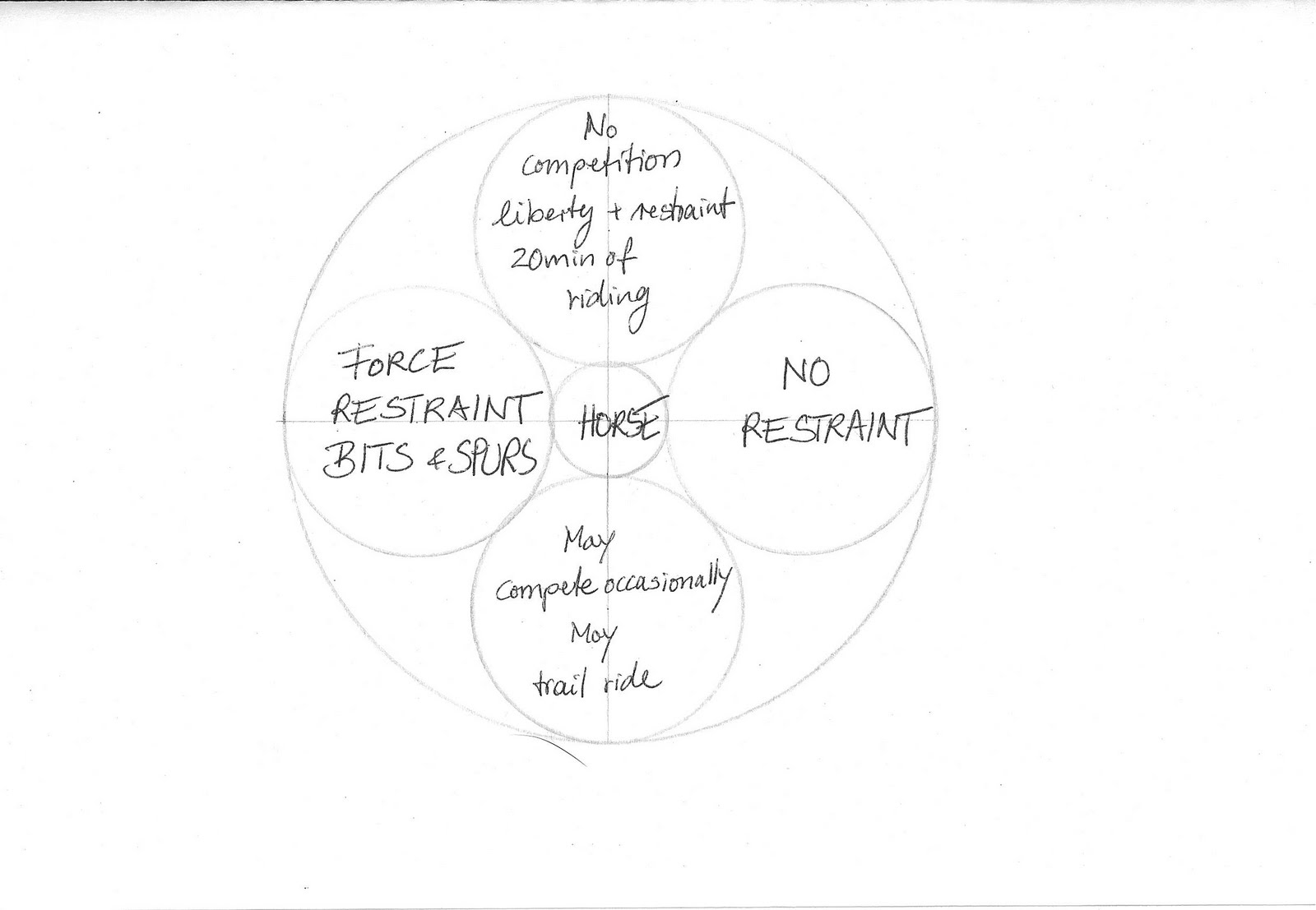 The Path of the Horse: Yin-Yang model