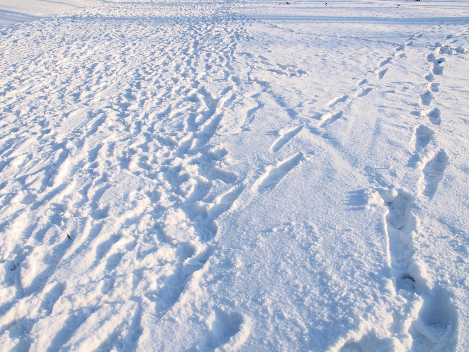 Ziema - PhotoBlogSite