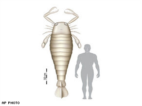 Hip Suburban White Guy: Giant Prehistoric Scorpion