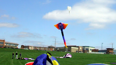 Hip Suburban White Guy: April 2008