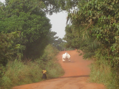 Mark & Jennie 'CLO': Dungu - Photo`s