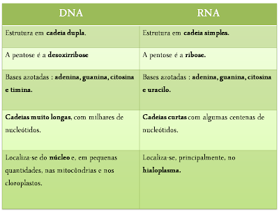 Diferenças entre o DNA e o RNA :: Biologia e Geologia