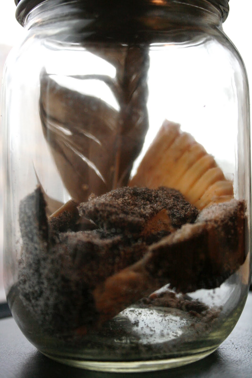 Trout Fischin' in America: Tar Ball Jars on Sale Tomorrow at Jackson Square