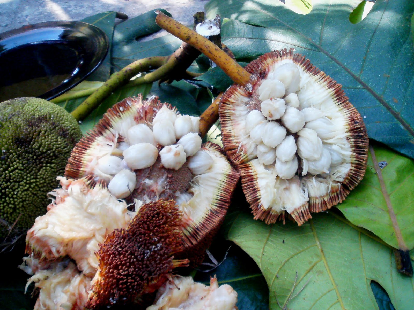 ORANG MUDA: BUAH SARAWAK...