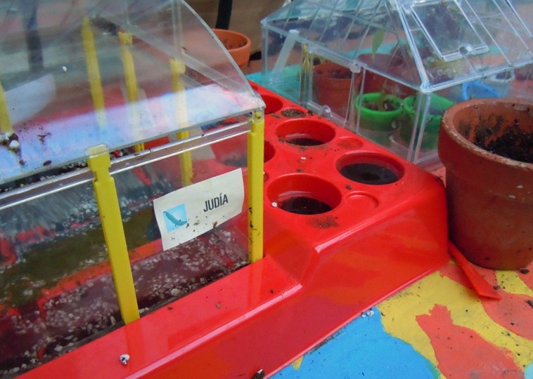 El huerto en invierno