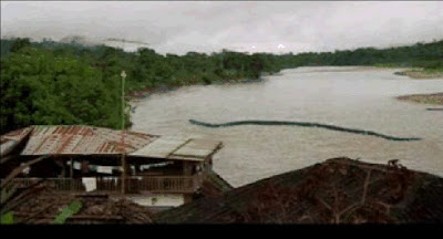 Beautiful Things In Life: Nabau - Sarawak Anaconda