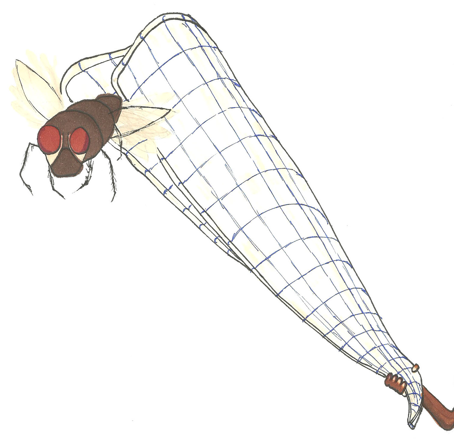 Creative Planet: Fly Swatting