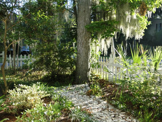 The Sweetbrier Cottage: Back Yard Potential