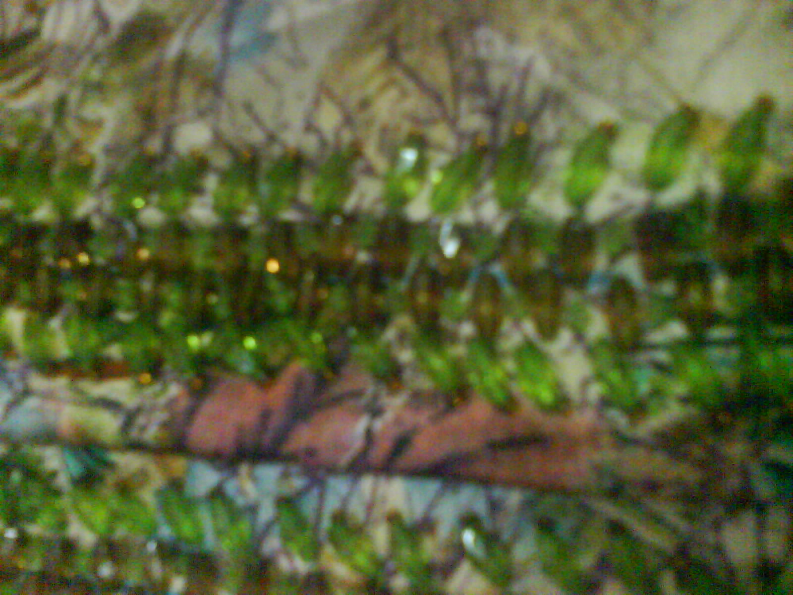 ALI FIRDAUS SHOPPE: Crystal Rice