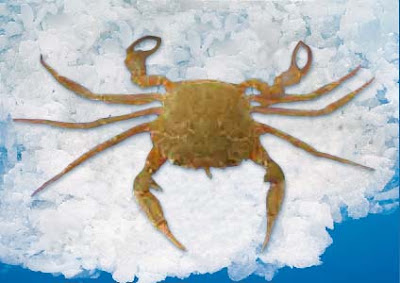 Frutos del mar: Los Crustaceos