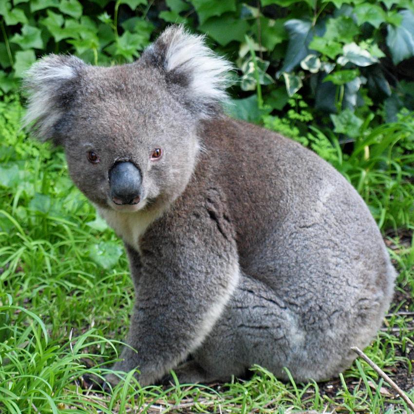 Sampaguita Quilts: August 2010