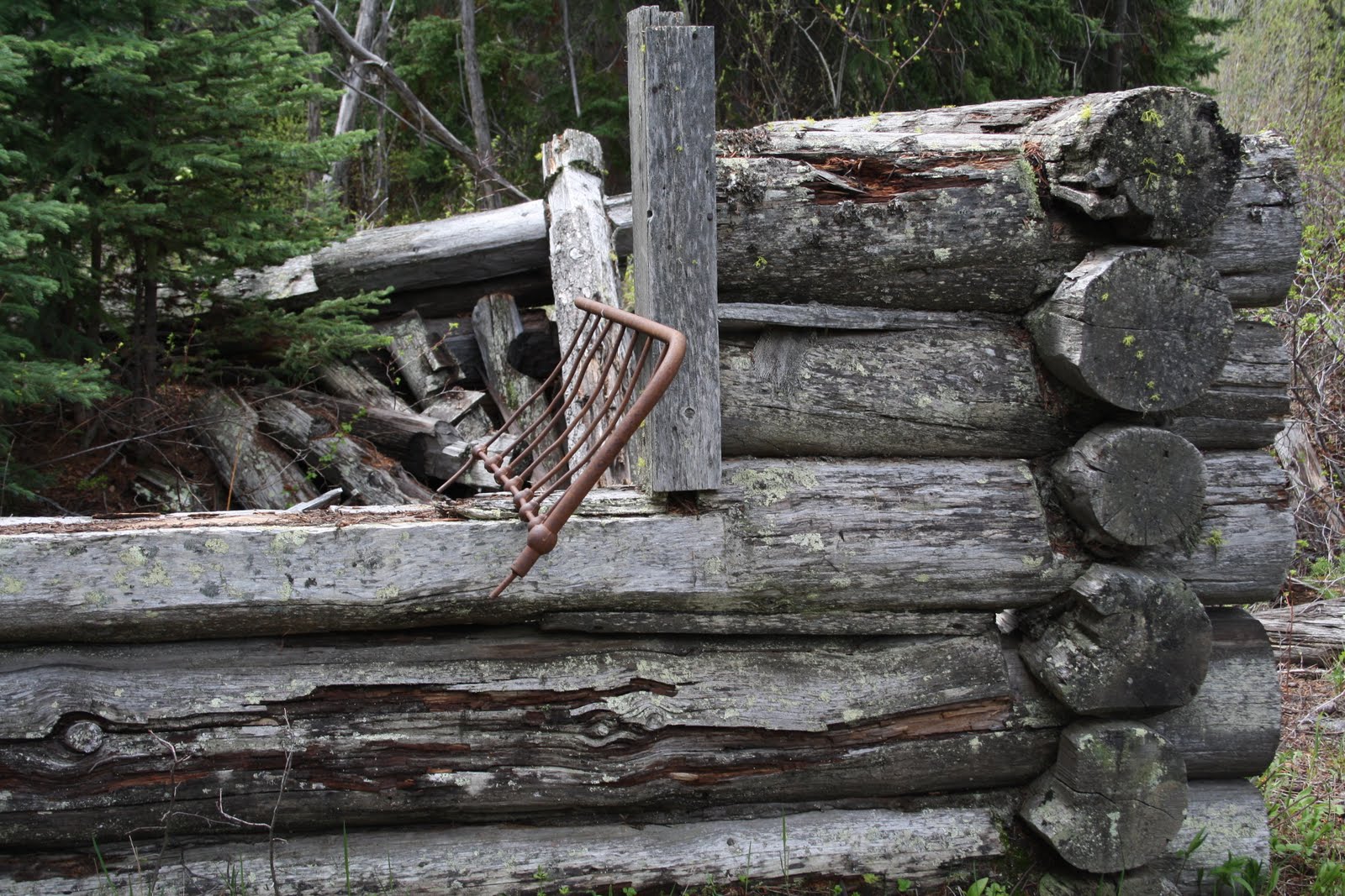 FoxwoodLane: Coalmont, Blakeburn