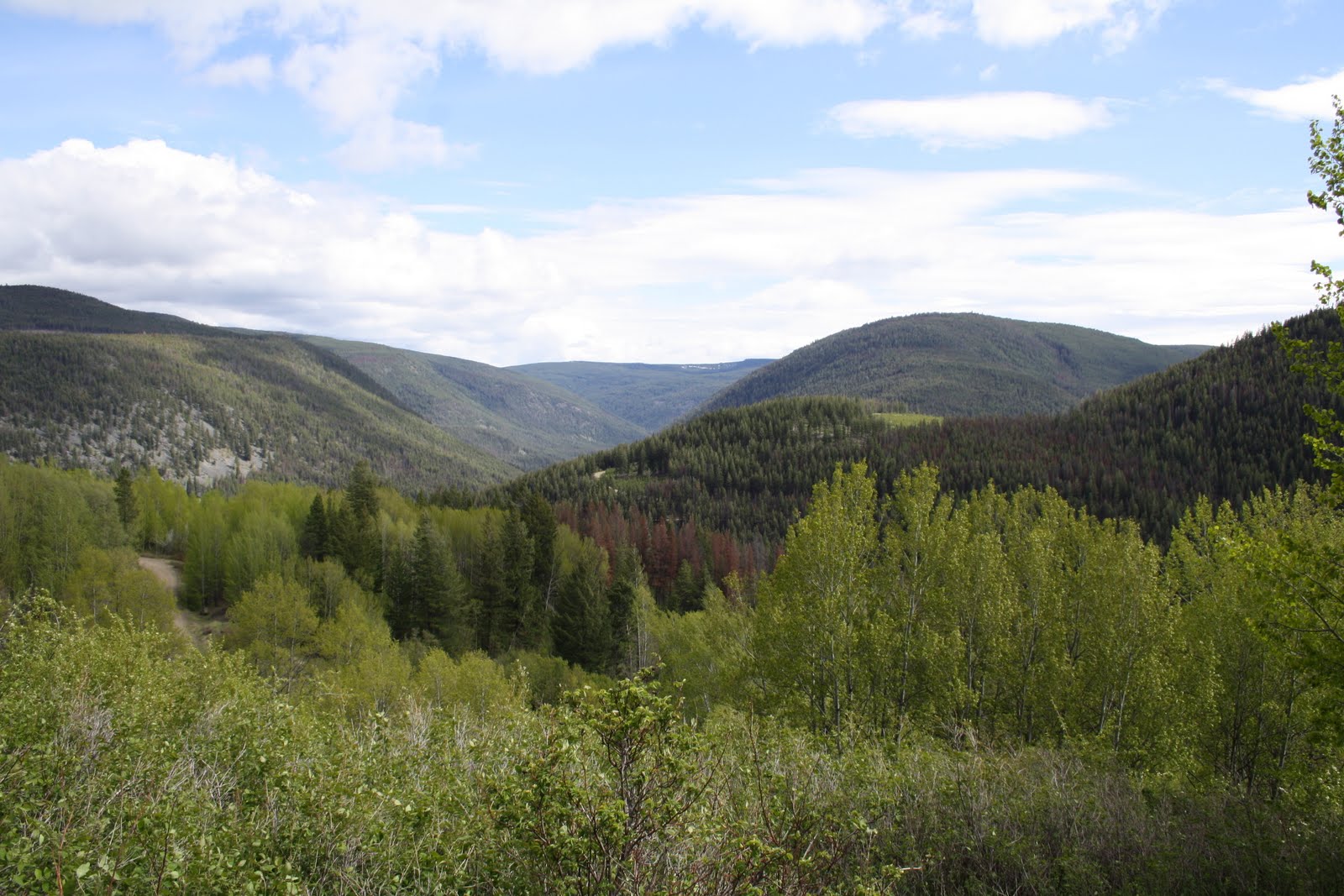 FoxwoodLane: Coalmont, Blakeburn