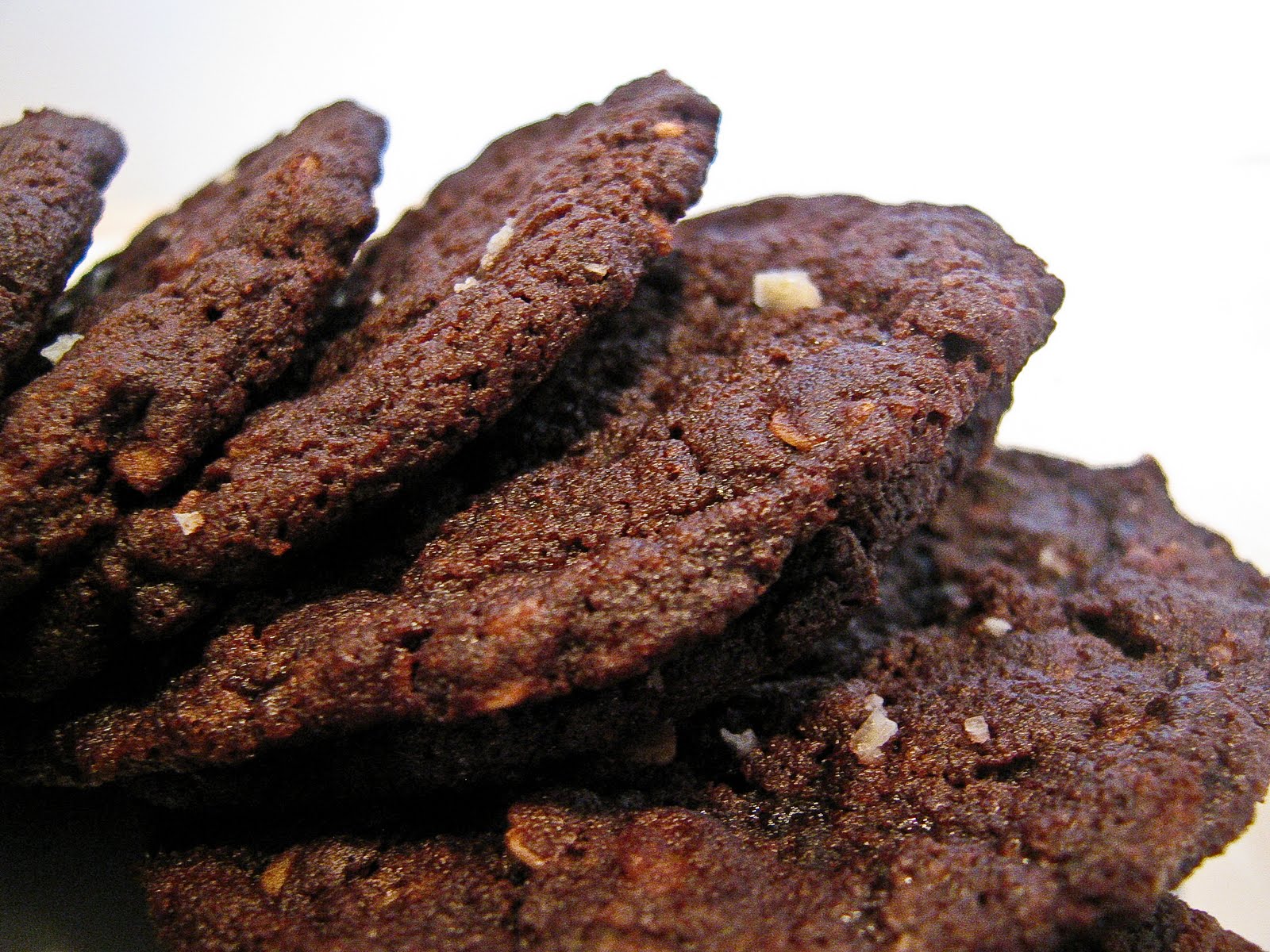 Salty Chocolate Oatmeal Cookies - The Spiced Life