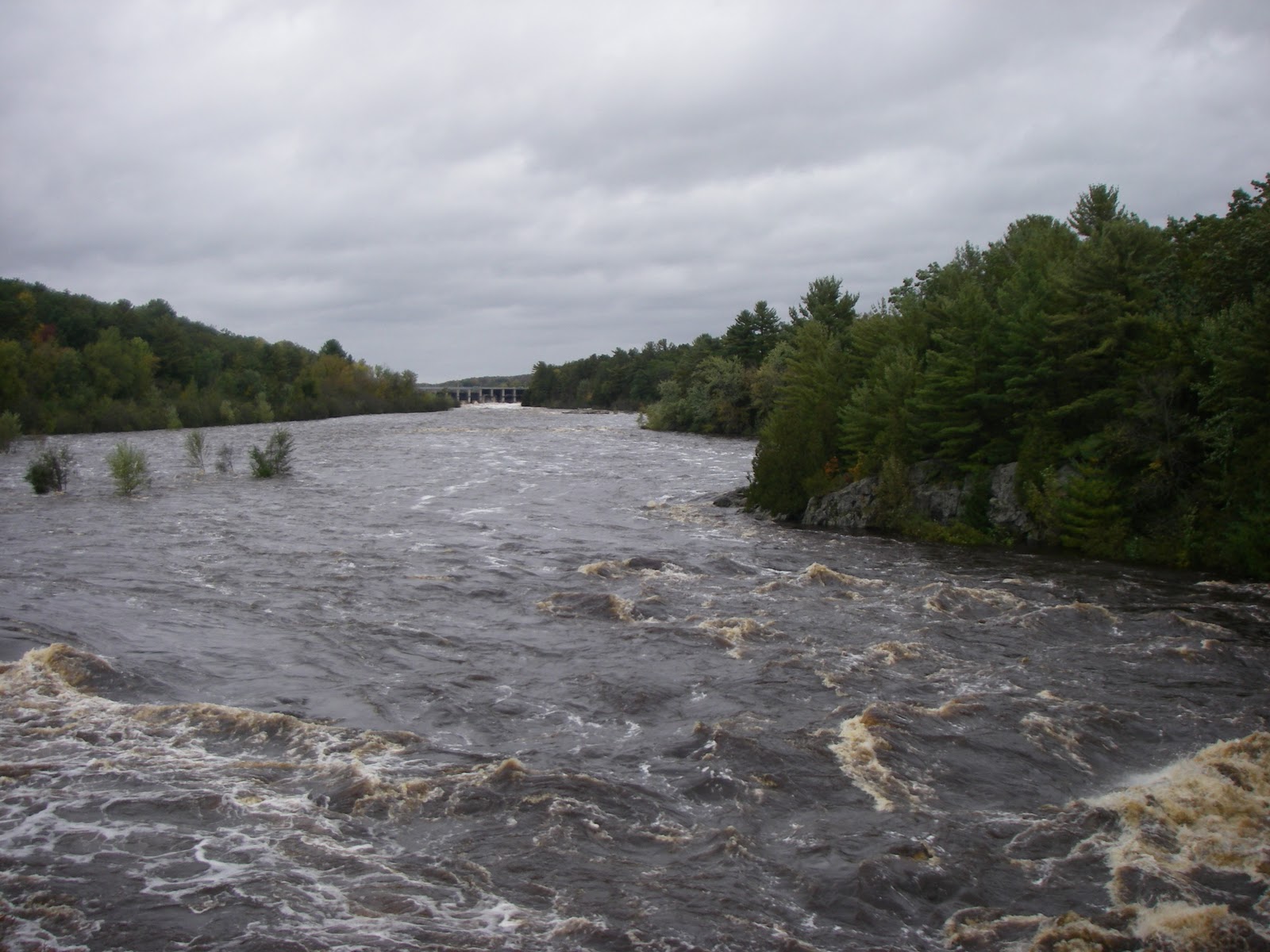 Jim Falls Whitewater: January 2011