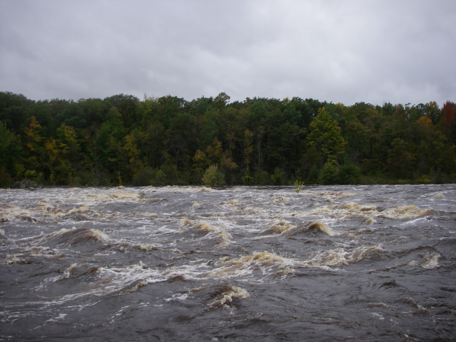 Jim Falls Whitewater: January 2011