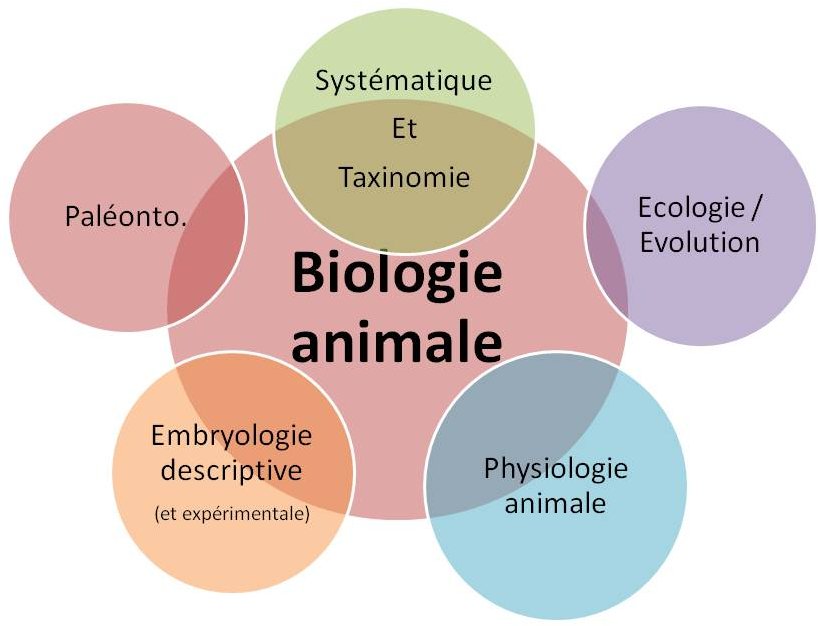 Le Blog de M.Colin: La Biologie animale une science de structure