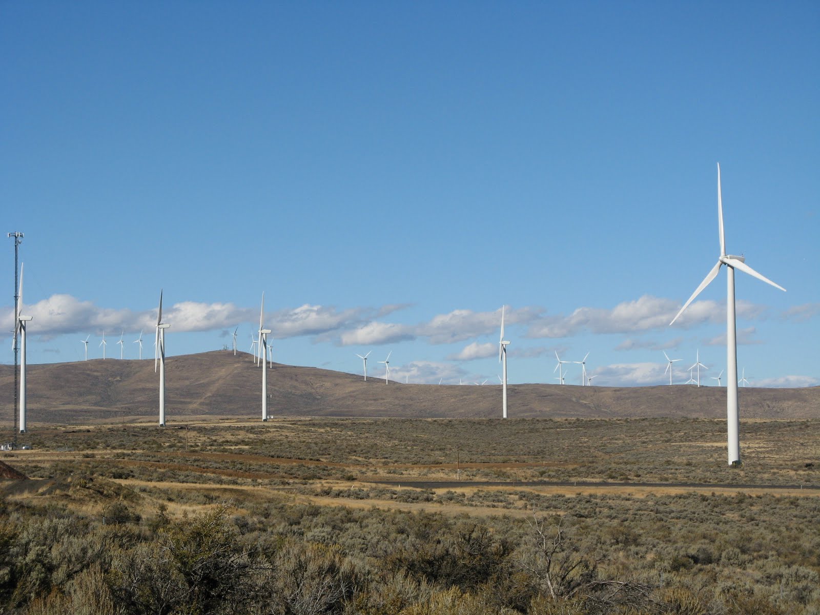 Lane and Syl: Ryegrass Summit Wind Farm