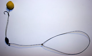 Smart Carping Blog - Coaching Online: HOW TO: Tie a stiff link rig