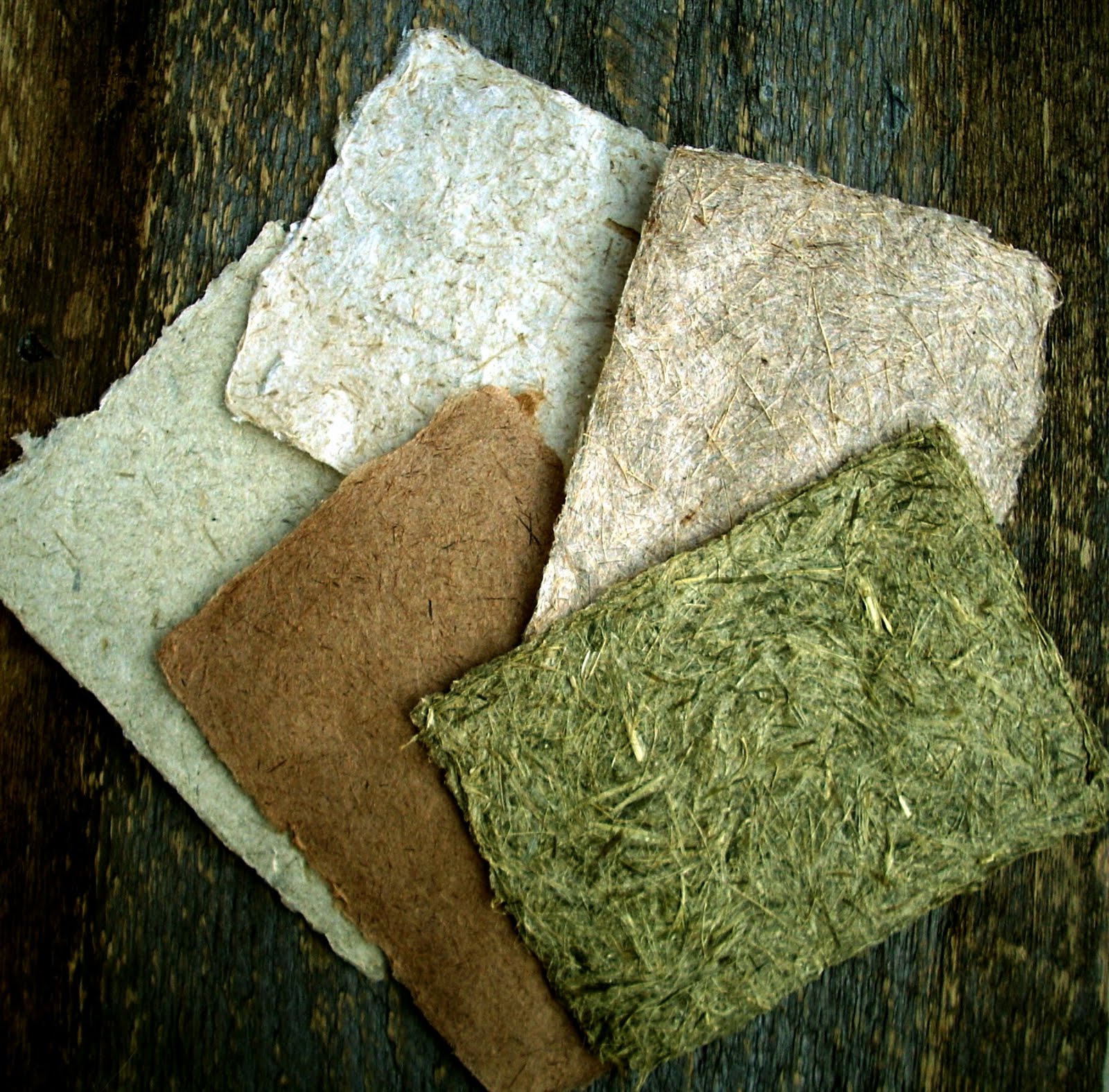 Liz-Anna's Studio: Starting this month - free tutorials!