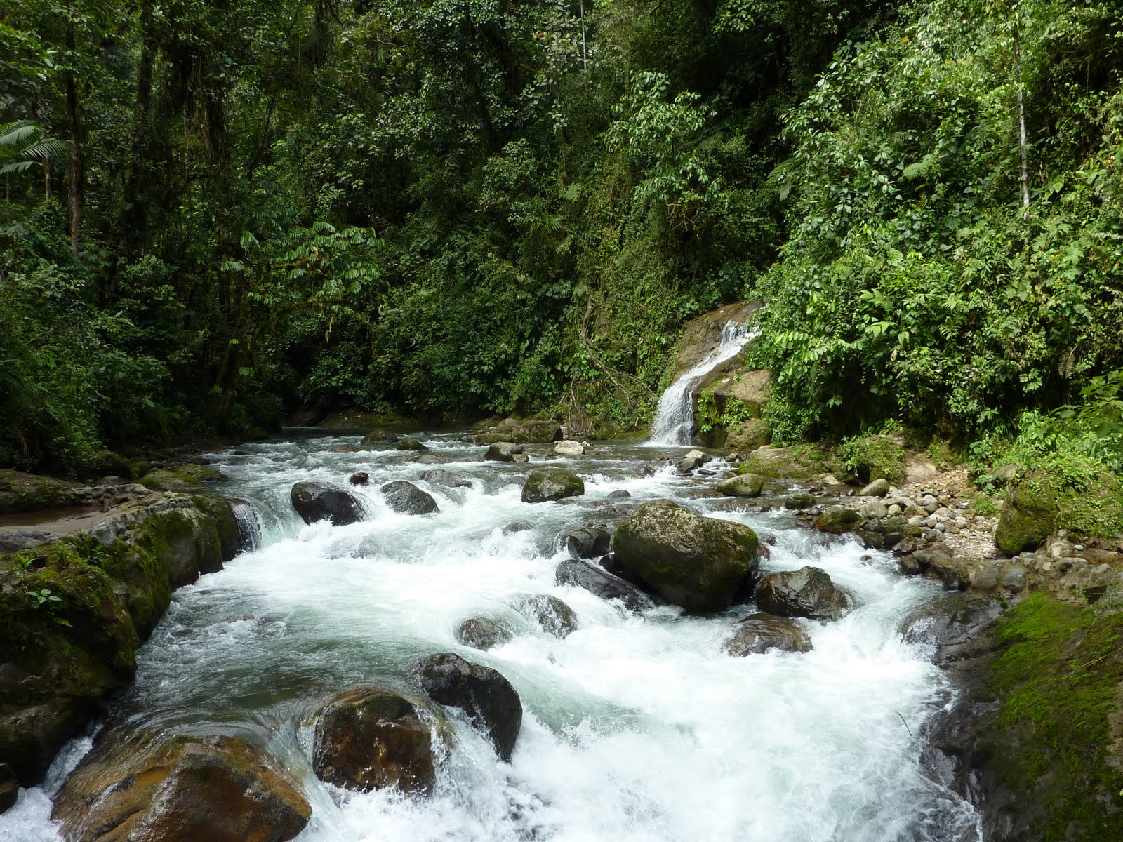 Ecuador: Mindo Lindo