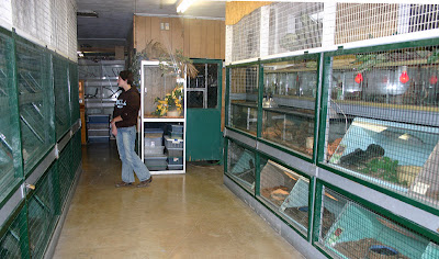 Articles: Article: Snake Farm