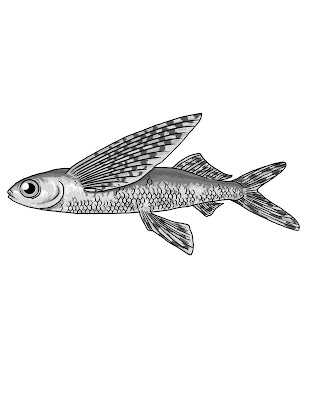 mGa gAwA Ni JePoY_GuaPo: Animals