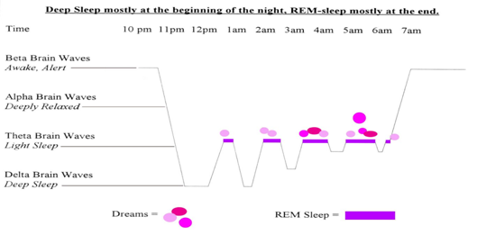 Responsible Health: Why REM sleep is predominant in babies?