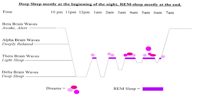 Responsible Health: Why REM sleep is predominant in babies?
